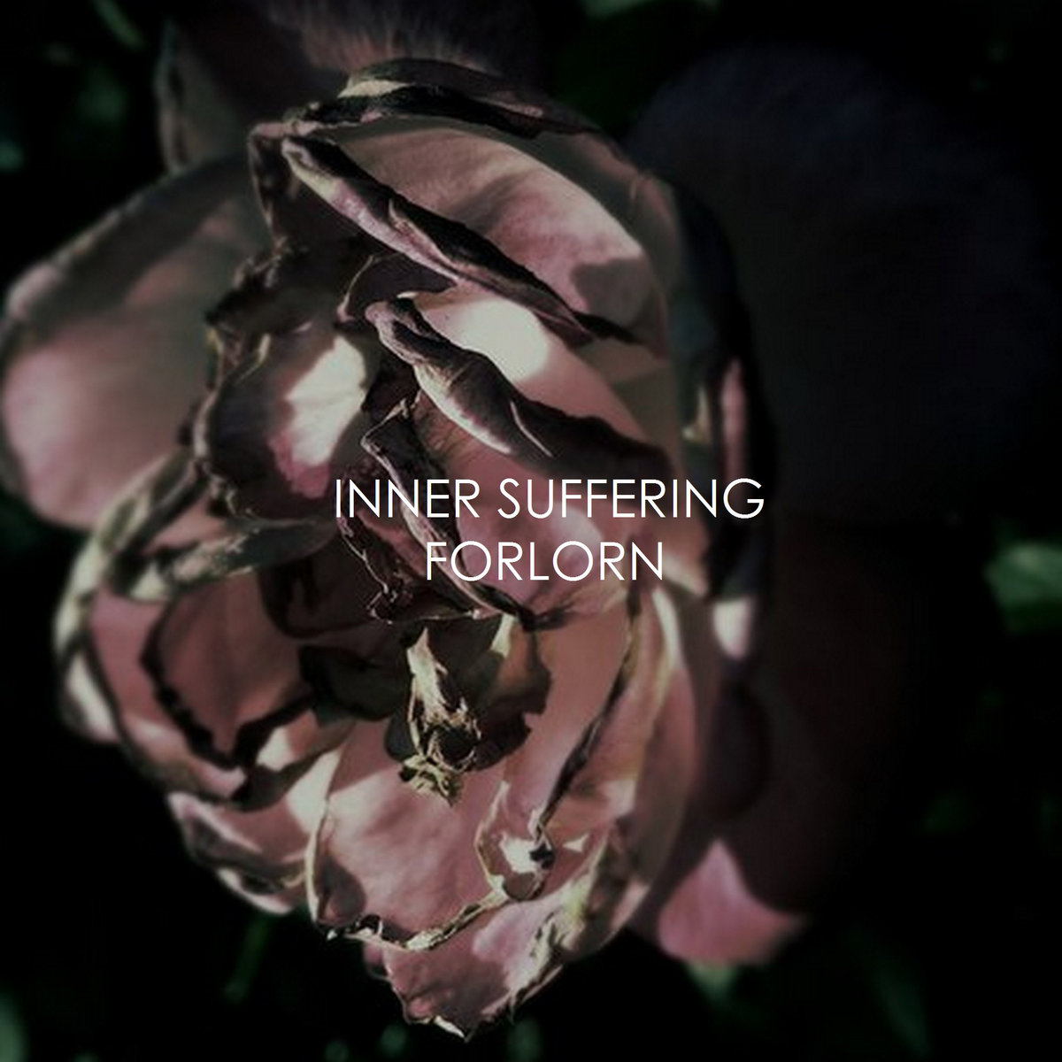 Forlorn by Inner Suffering (Album, DSBM): Reviews, Ratings, Credits ...