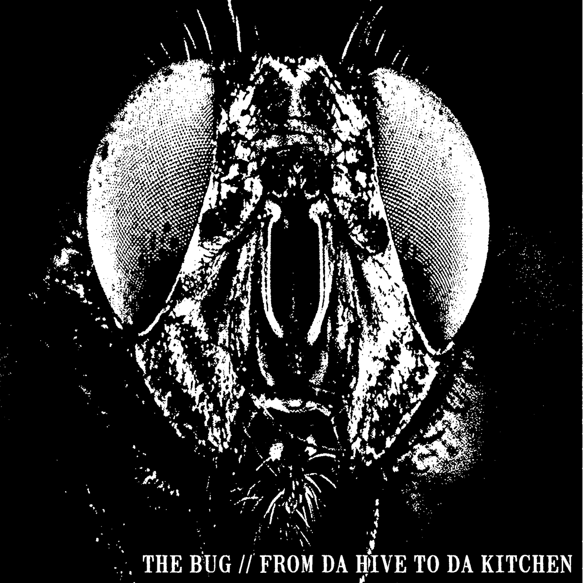 From da hive to da kitchen by The Bug (Album): Reviews, Ratings ...