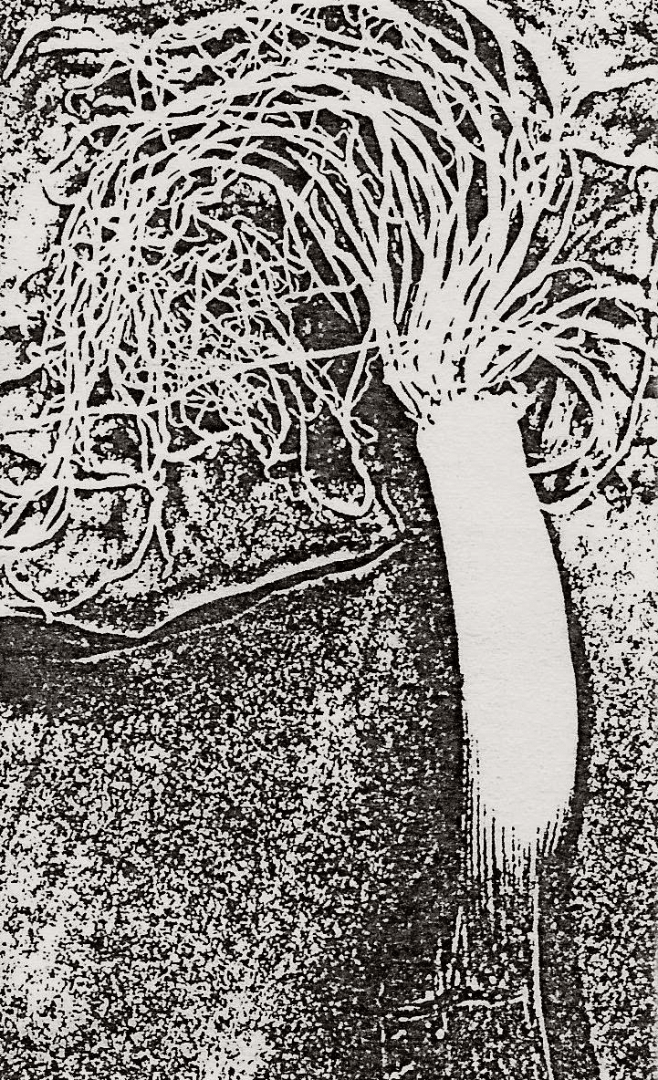 Mome Rath by Mome Rath (Album, Coldwave): Reviews, Ratings, Credits ...