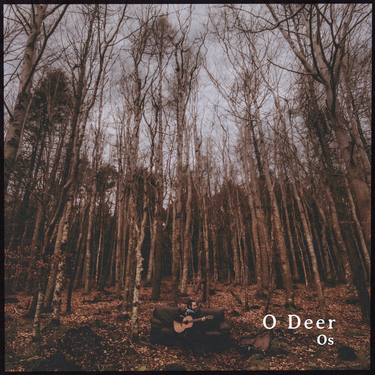 Os by O Deer (Album): Reviews, Ratings, Credits, Song list - Rate Your ...