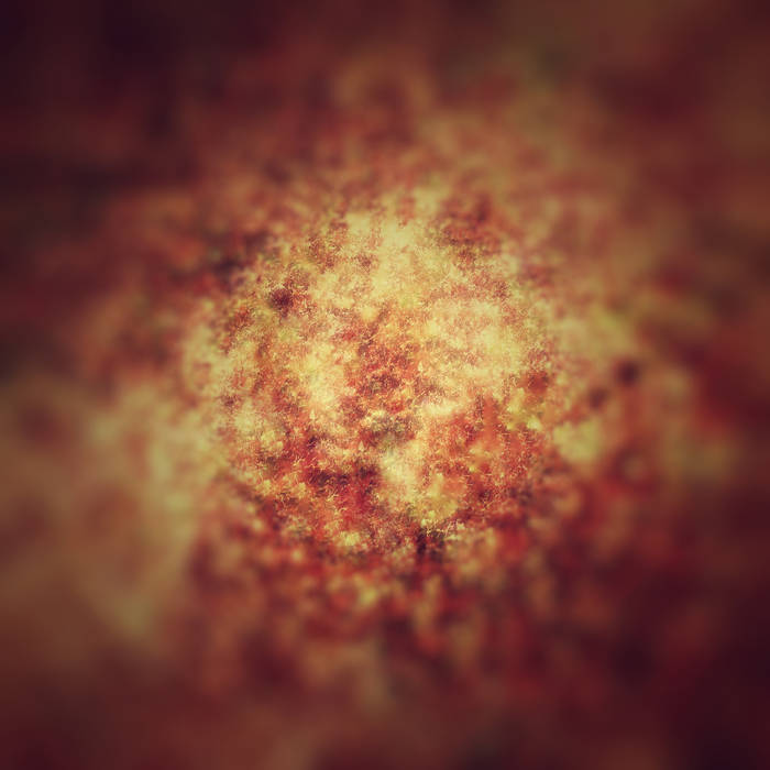 Faded Echoes by Viperss (Single): Reviews, Ratings, Credits, Song list ...