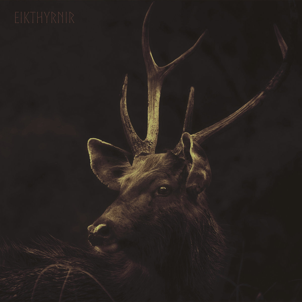Munknörr Albums: songs, discography, biography, and listening guide ...