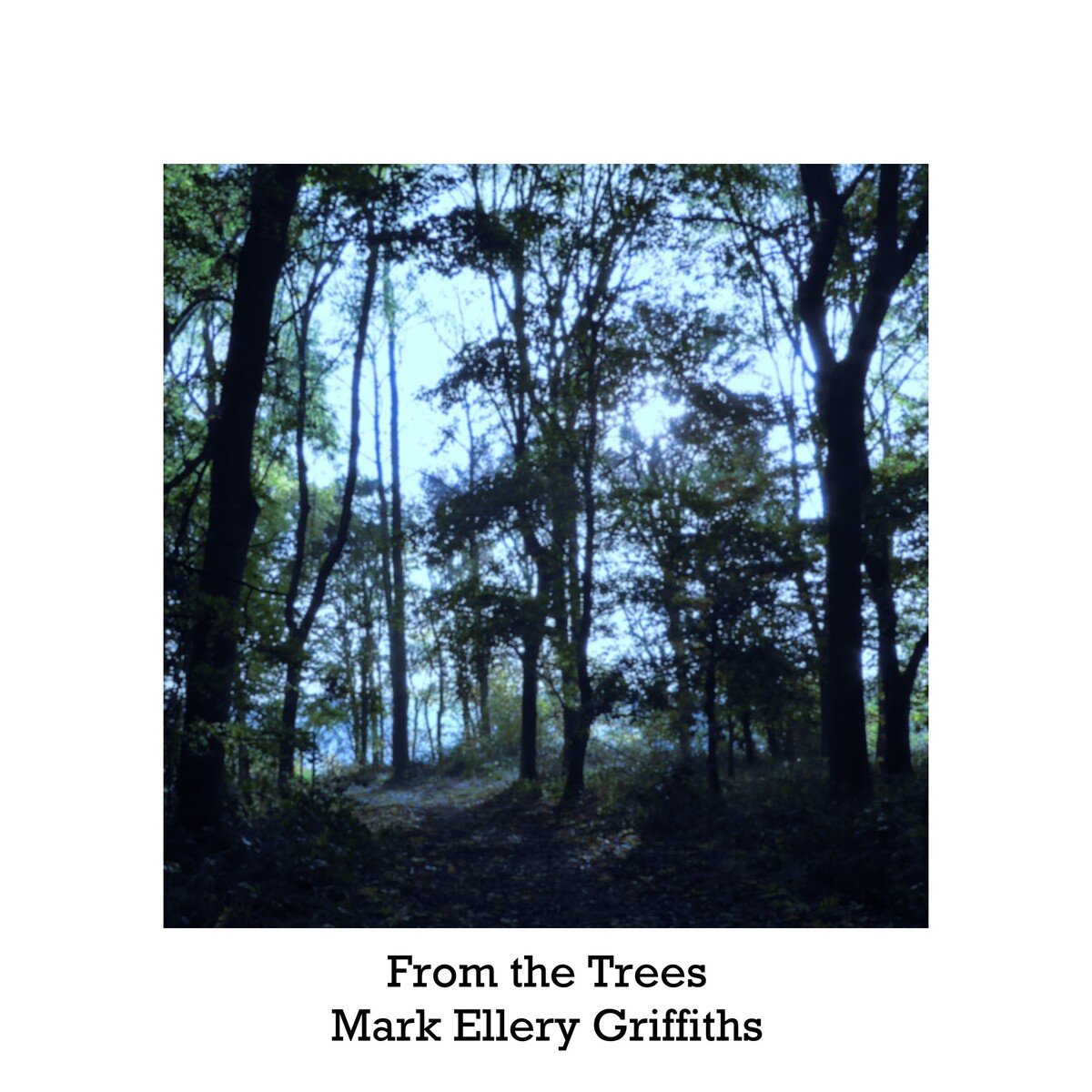 From the Trees by Mark Griffiths (Album, New Age): Reviews, Ratings, Credits, Song list - Rate ...