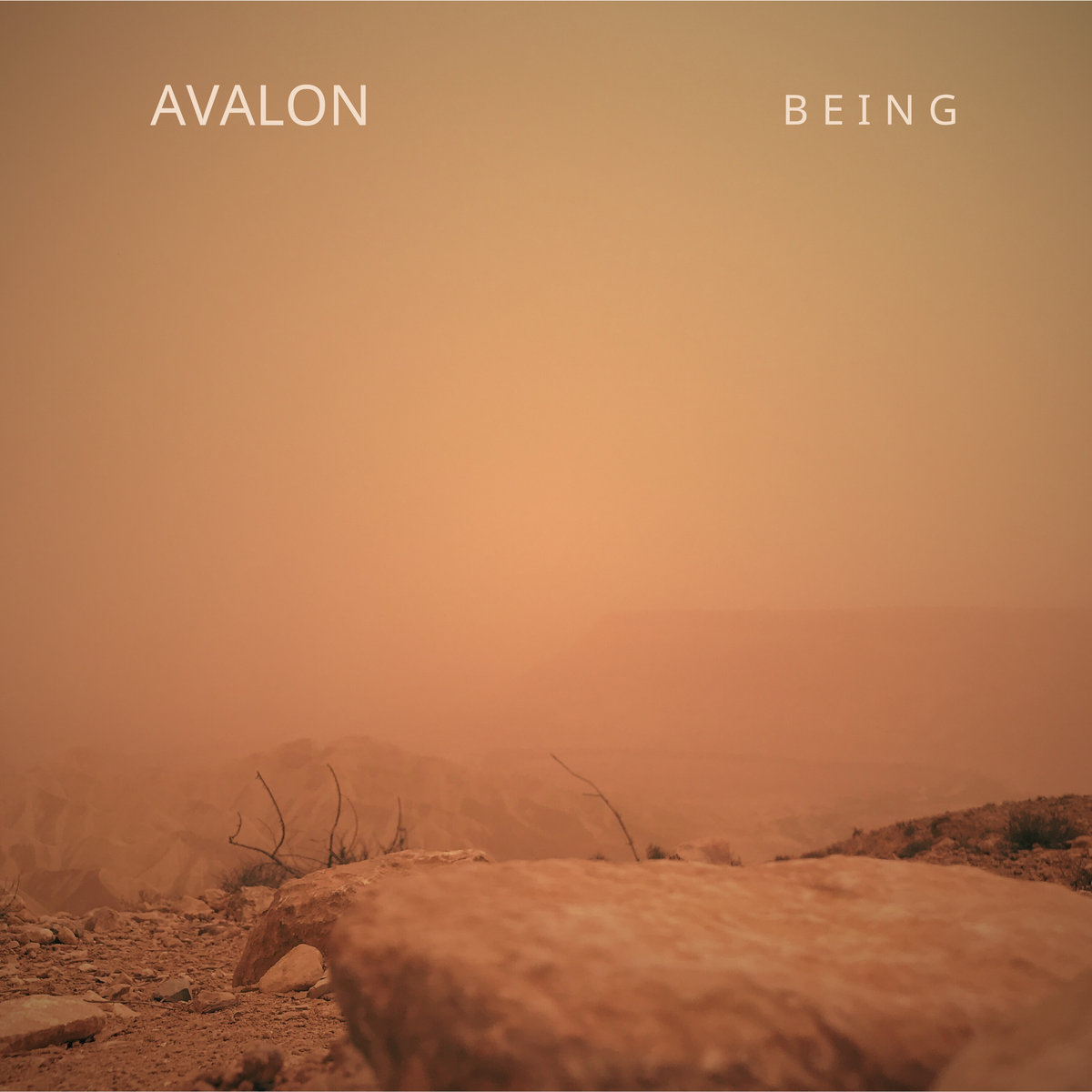 Being by Avalon (Album): Reviews, Ratings, Credits, Song list - Rate ...