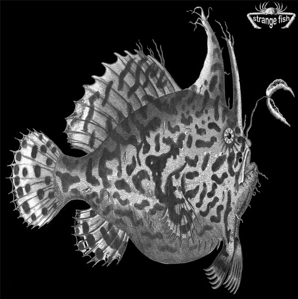Strange Fish One by Craig Padilla / Sendelica (Album, Psychedelic Rock ...