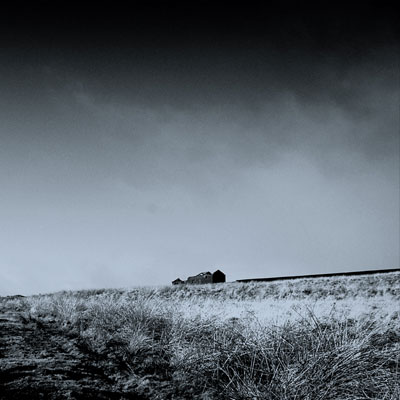 Tanner Menard Albums: songs, discography, biography, and listening ...