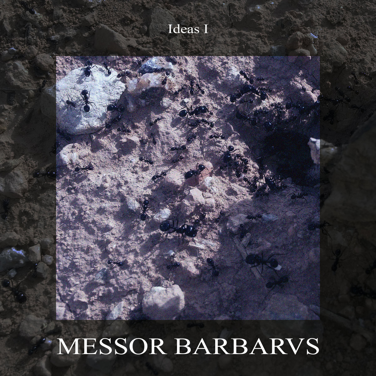 Ideas I by Messor Barbarus (EP, Noise): Reviews, Ratings, Credits, Song ...