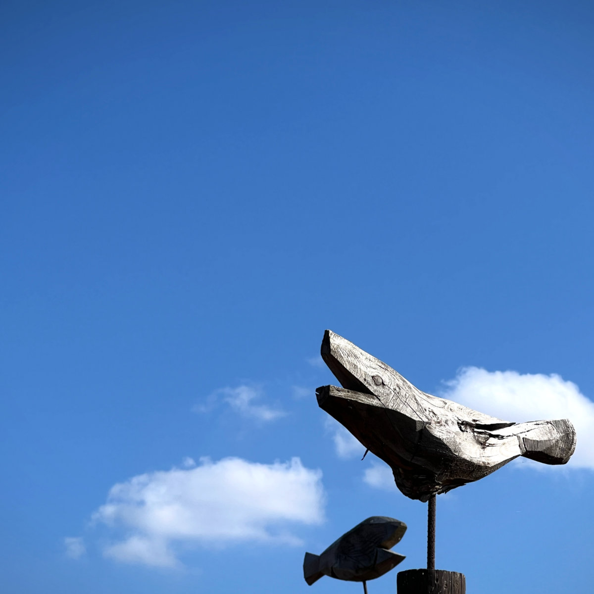 Best Slowcore albums of 2025 - Rate Your Music