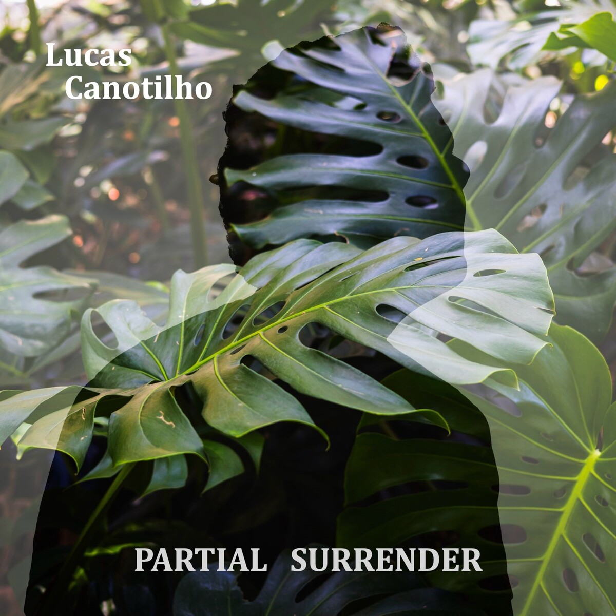 Partial Surrender by Lucas Canotilho (Album): Reviews, Ratings, Credits ...