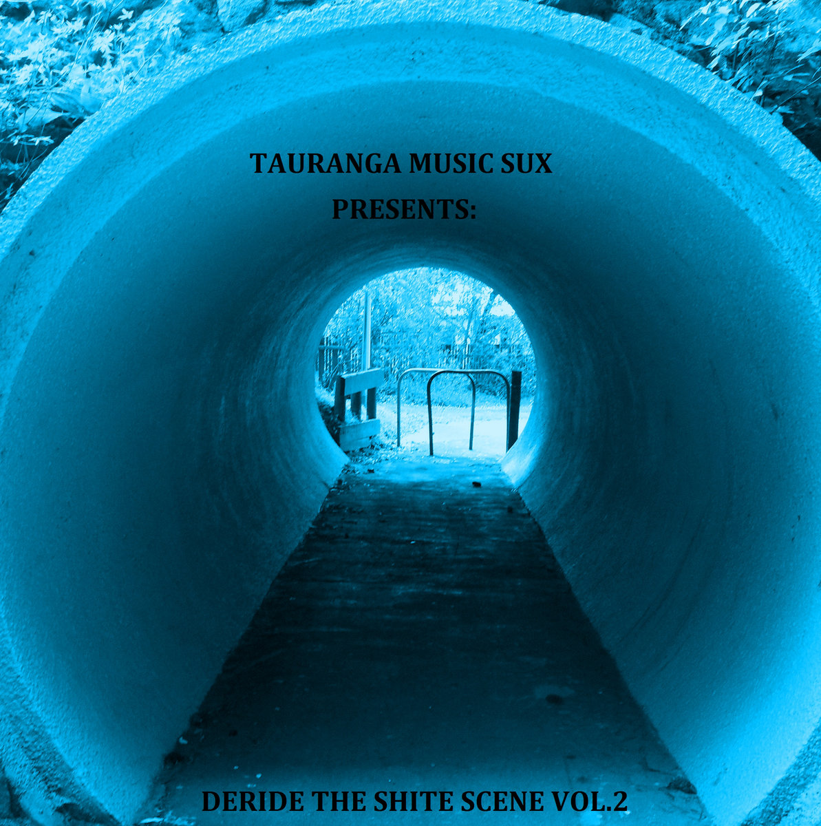 Deride the Shite Scene Vol.2 by Various Artists (Album): Reviews ...