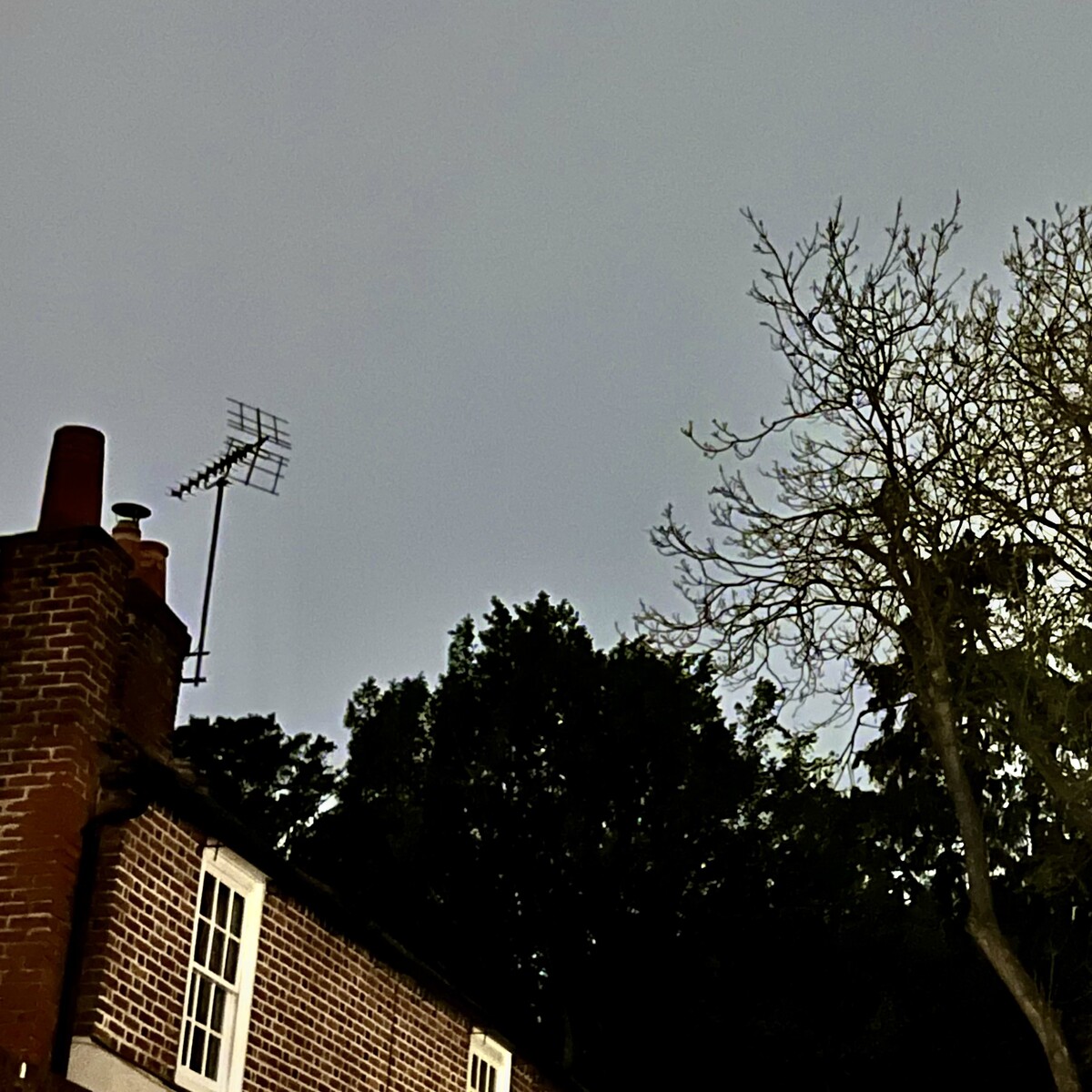 Lynnie Snow Albums: songs, discography, biography, and listening guide ...