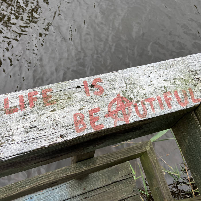 The Embarrassing Songs 2016 - 2022 by Squirrel (Album): Reviews ...