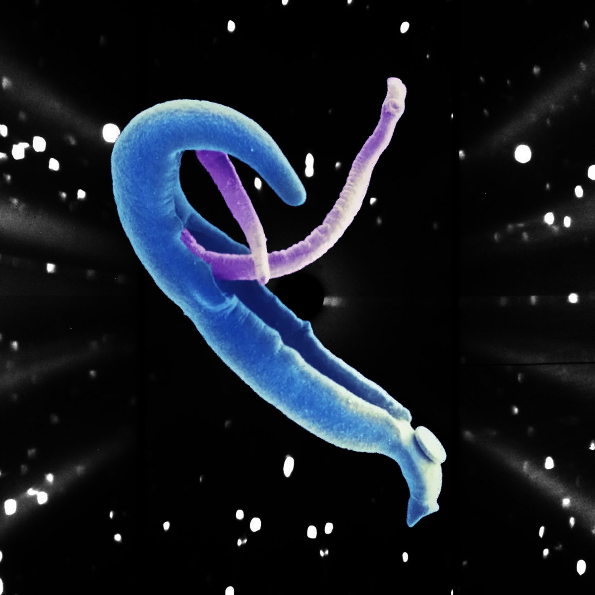 TRANS008 by Repulsive Force (Album, Progressive Psytrance): Reviews ...