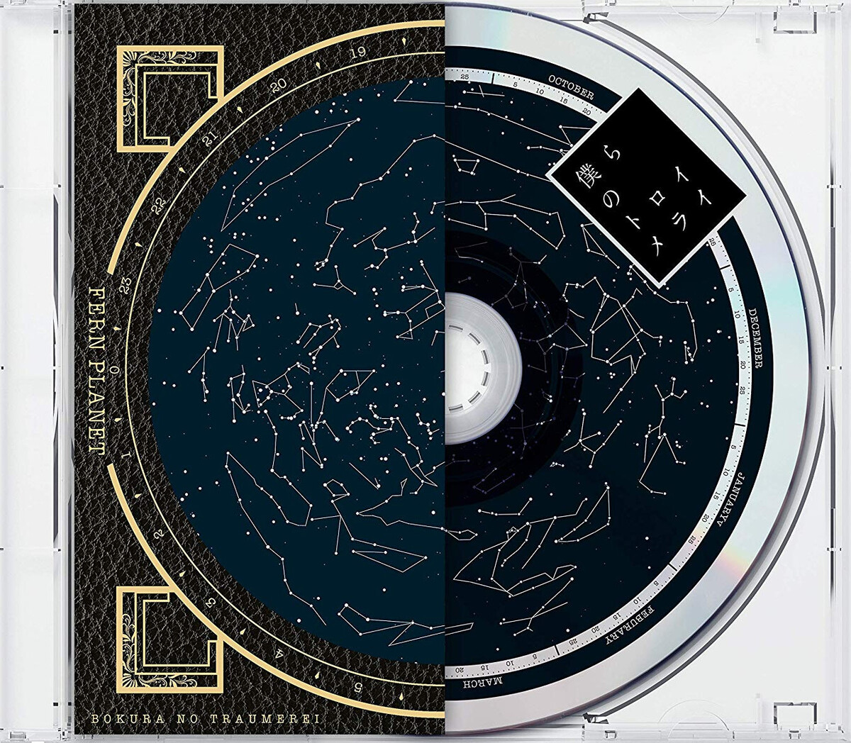 Fern Planet Albums: songs, discography, biography, and listening guide ...