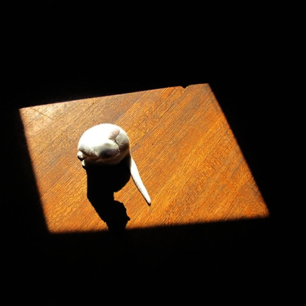 Stop Talking Like That! by Opposites (Album, Post-Rock): Reviews ...