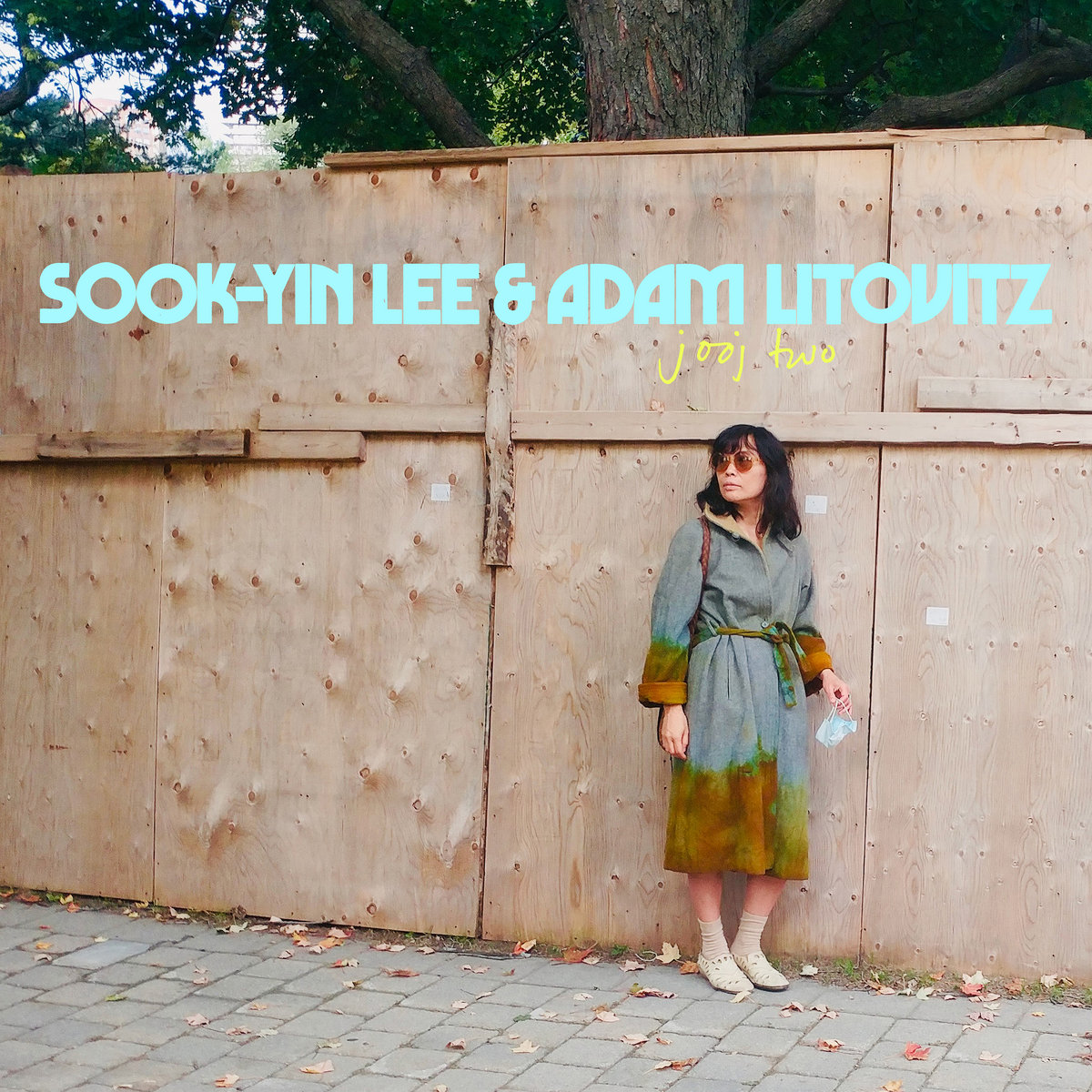 Sook-Yin Lee Albums: songs, discography, biography, and listening guide - Rate Your Music