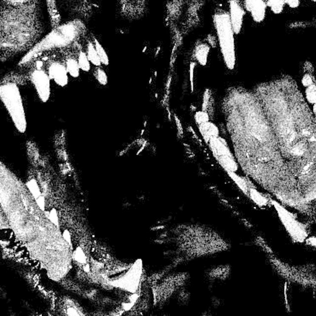 Rabid by Parker McCord (Single, Slowcore): Reviews, Ratings, Credits ...