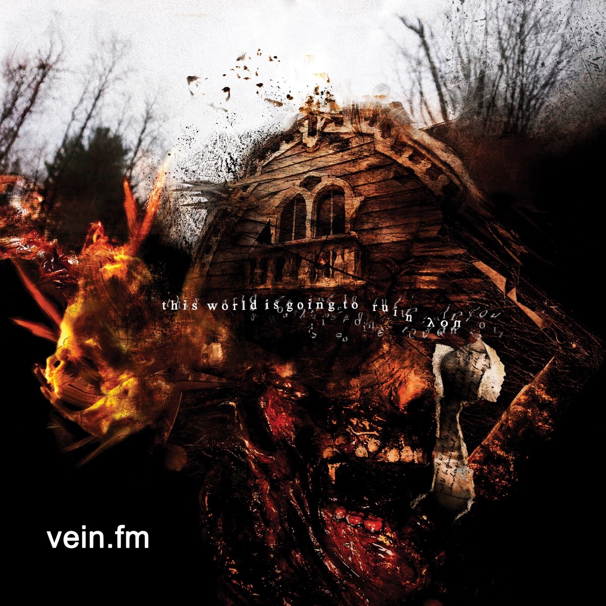 Vein.fm Albums: songs, discography, biography, and listening guide ...