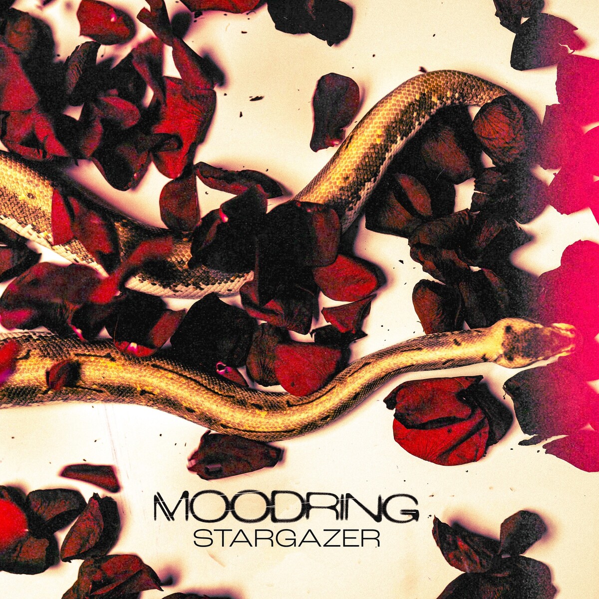 Stargazer by Moodring (Album, Alternative Metal): Reviews, Ratings ...