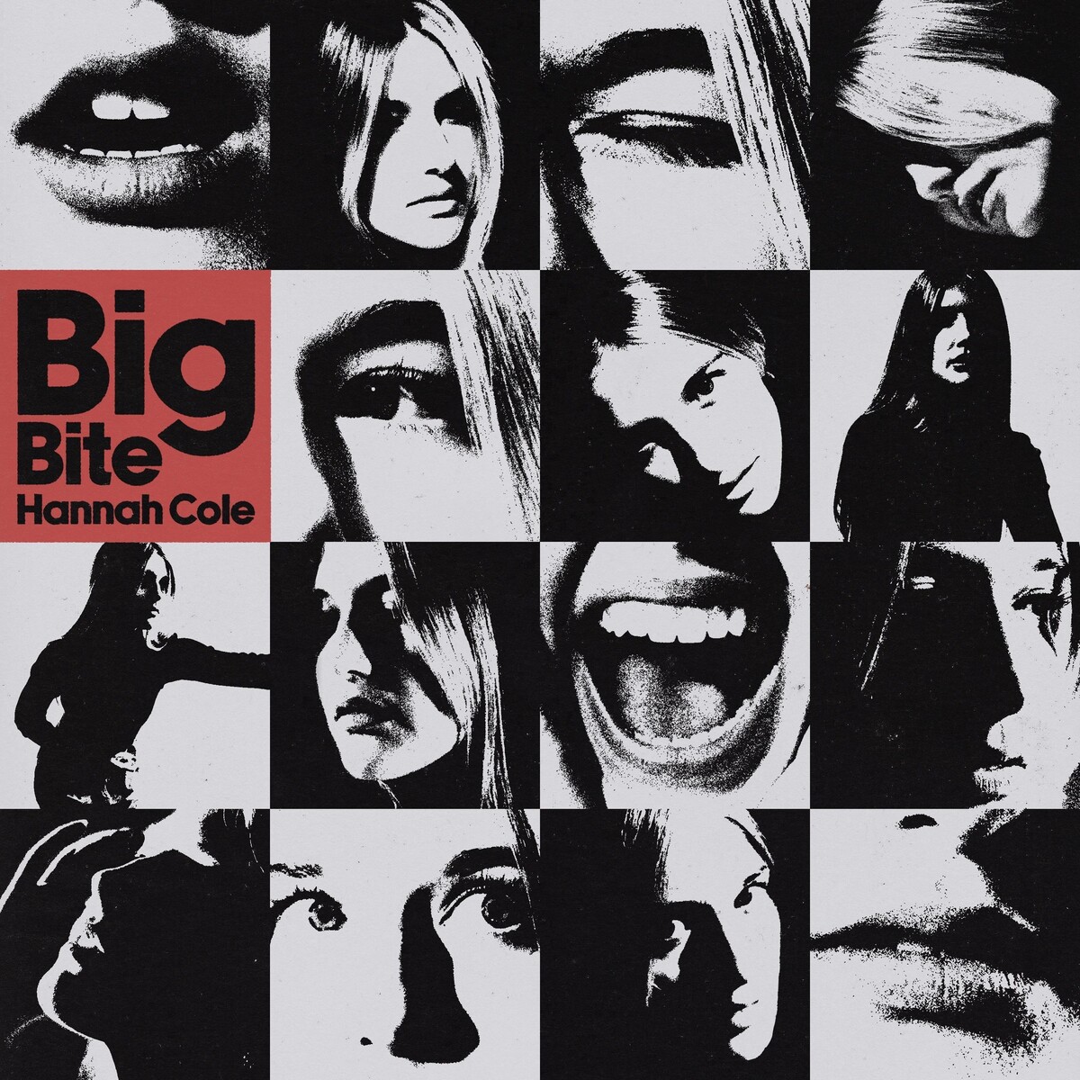 Big Bite by Hannah Cole (Single): Reviews, Ratings, Credits, Song list ...