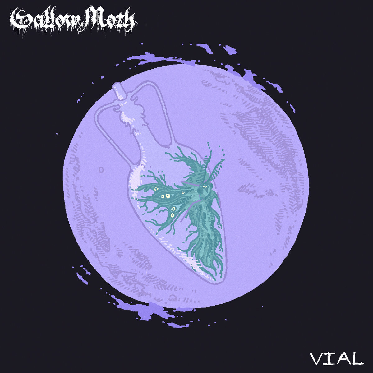 Vial by Sallow Moth (EP, Technical Death Metal): Reviews, Ratings ...
