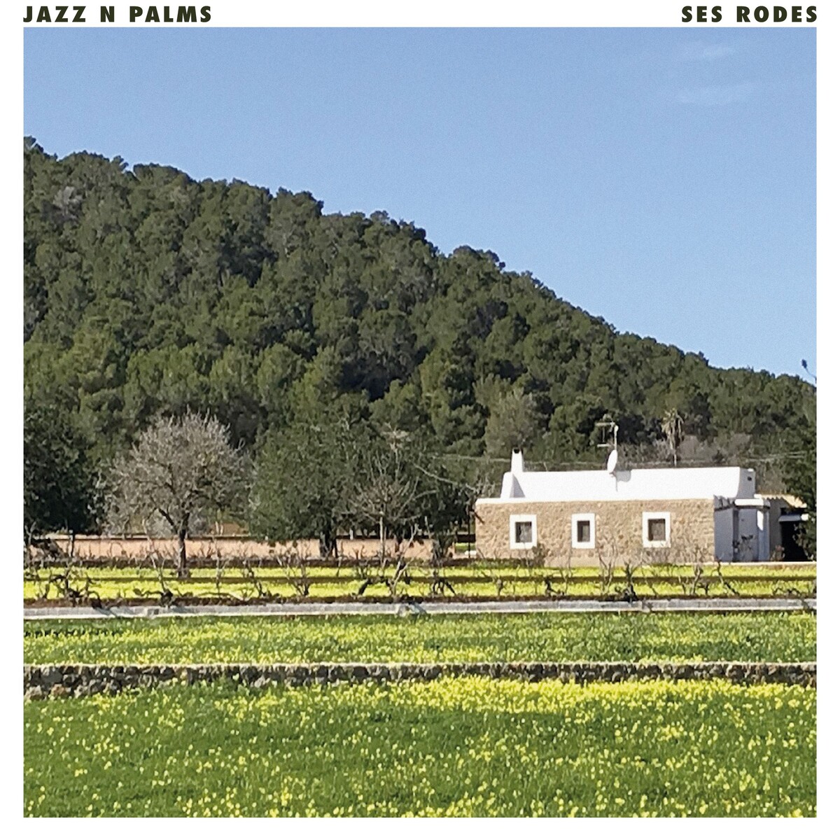 Ses rodes by Jazz n Palms (Album): Reviews, Ratings, Credits, Song list ...