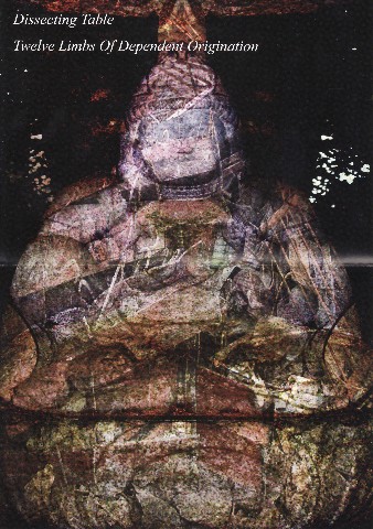 Twelve Limbs of Dependent Organization by Dissecting Table (Album ...