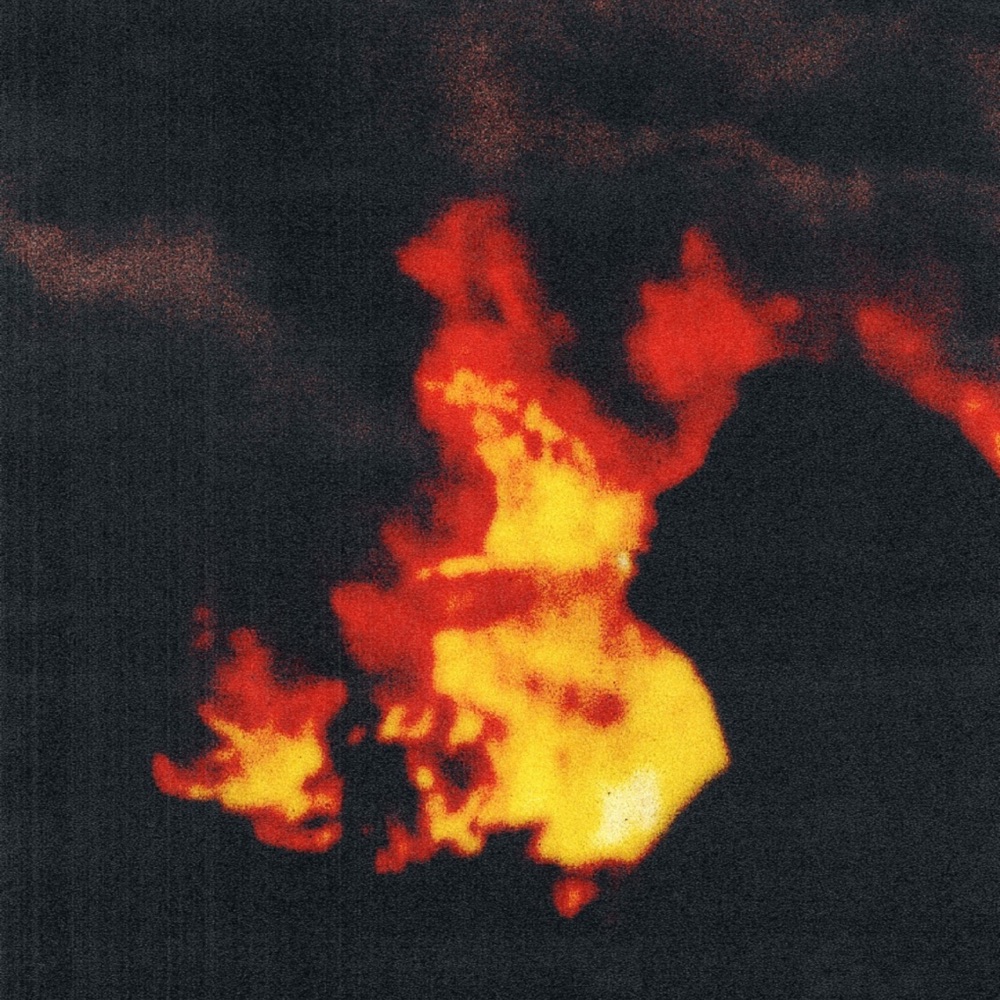 Tedi Albums: songs, discography, biography, and listening guide - Rate ...