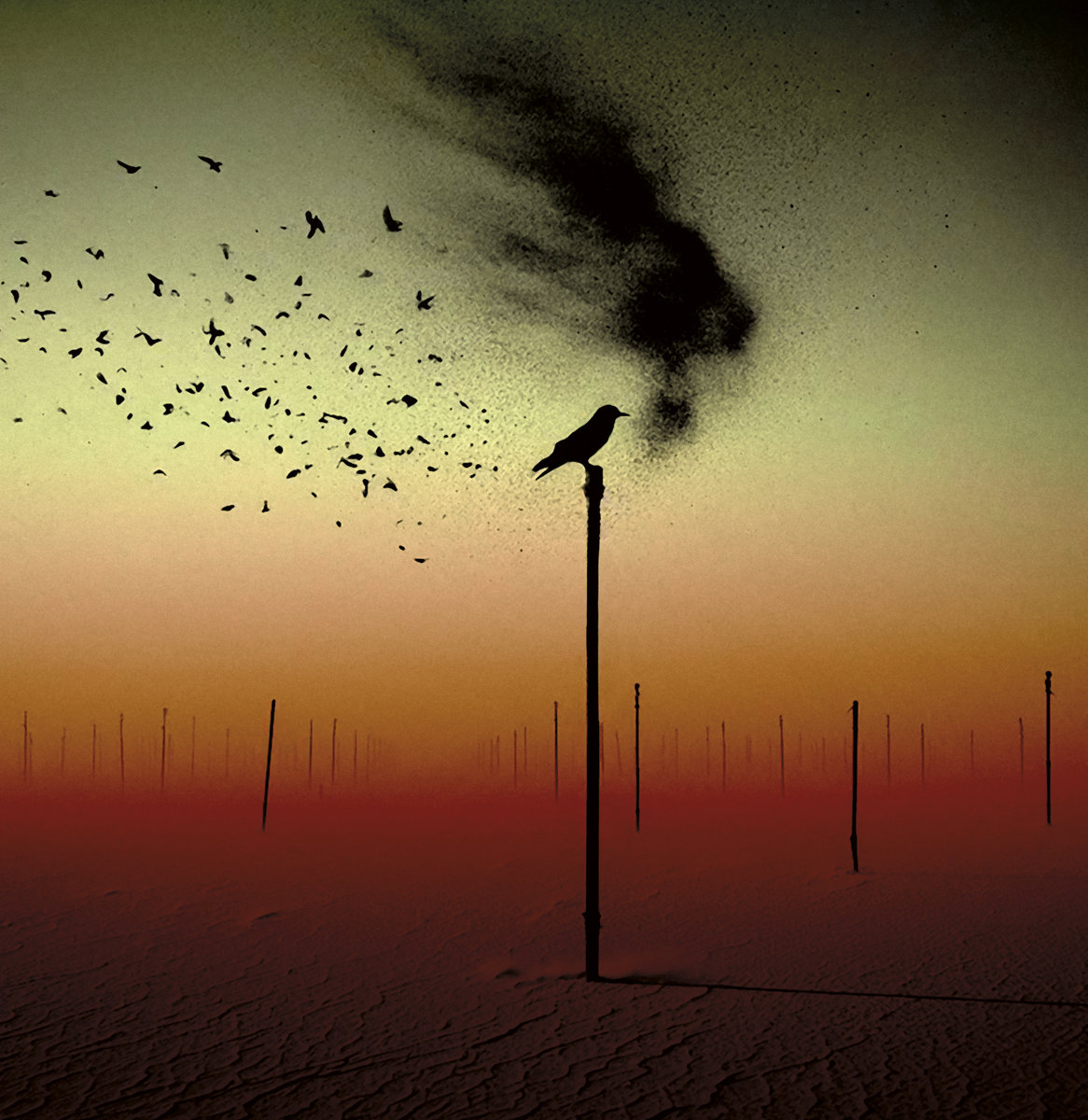 Most popular Darkwave albums of 2026 - Rate Your Music