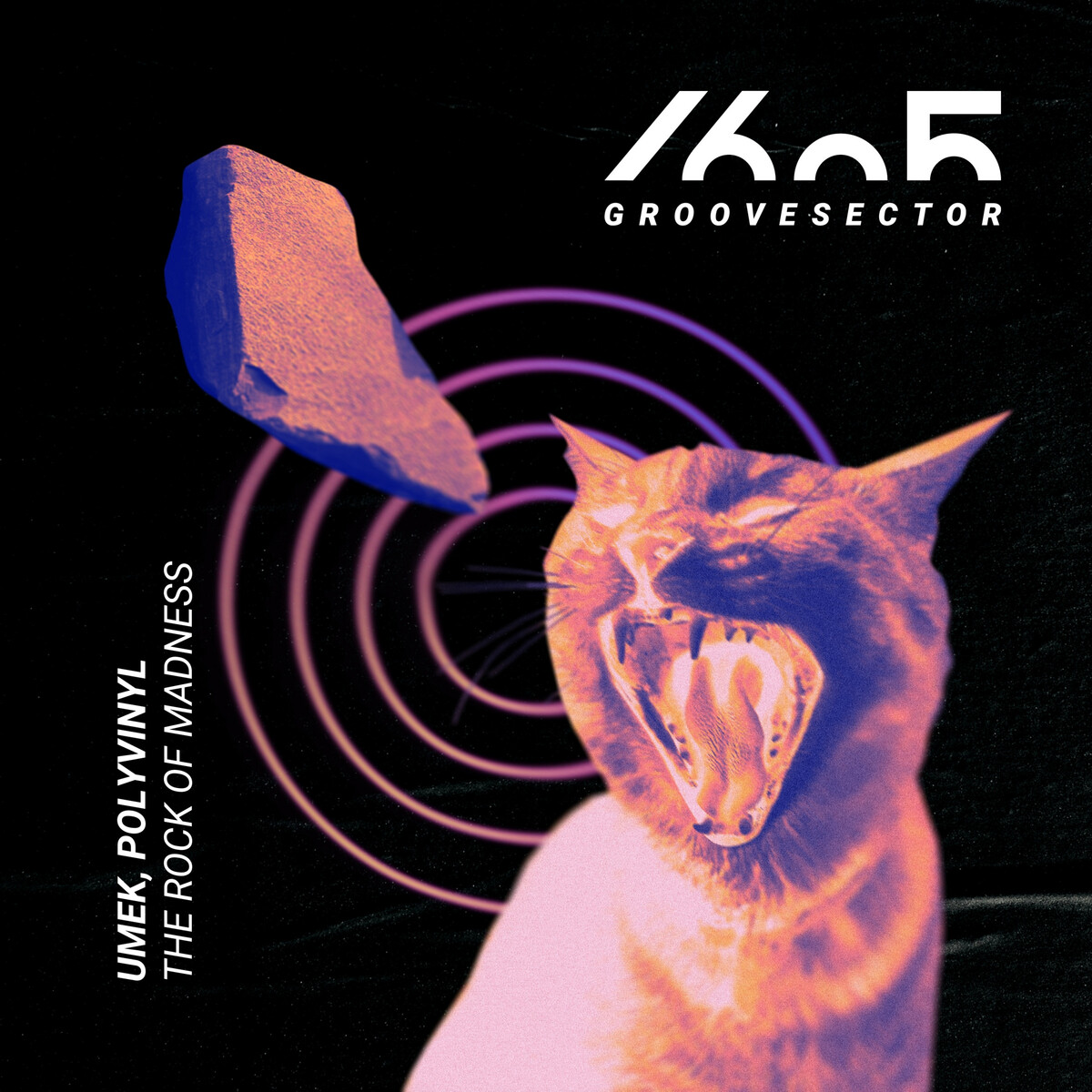 The Rock of Madness by Umek & Polyvinyl (Single, Hardgroove Techno ...