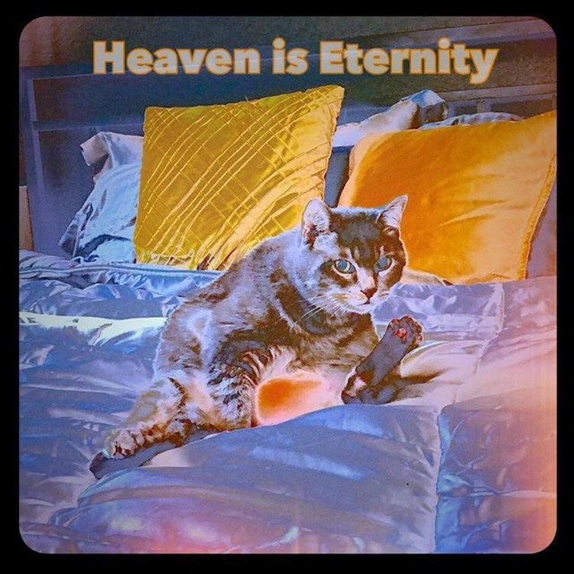 Heaven Is Eternity by Rei Clone (Single): Reviews, Ratings, Credits ...