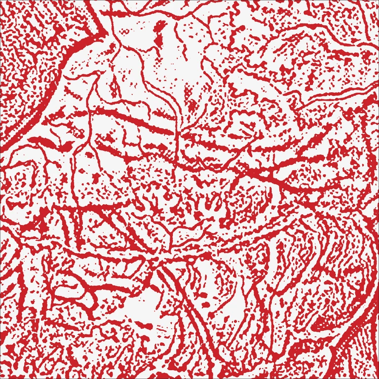 Materializing Defective Fascia by Sissy Spacek (Album; Helicopter; H ...