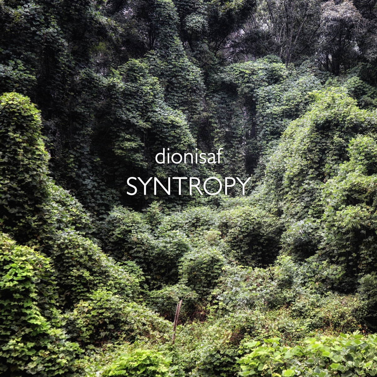 Syntropy by Dionisaf (Album, Ambient): Reviews, Ratings, Credits, Song list - Rate Your Music