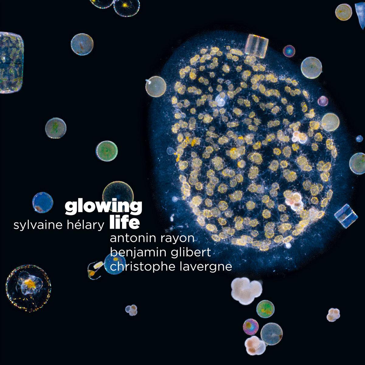 Glowing Life by Sylvaine Hélary (Album, Progressive Rock): Reviews ...