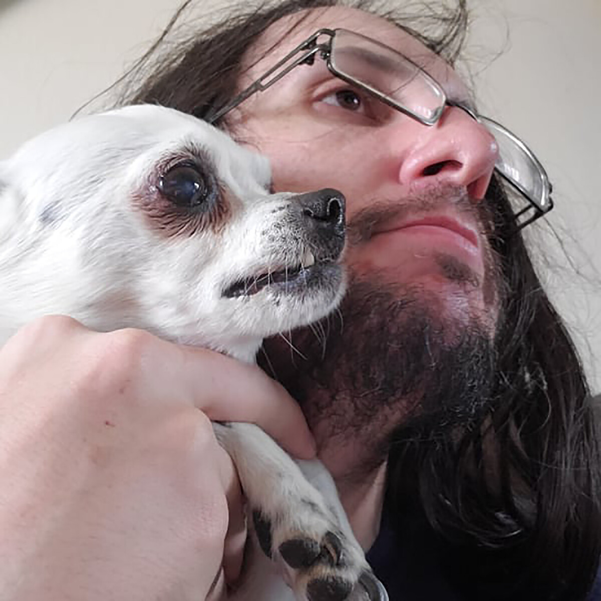 FAWM 2022 by Soul Phage (Additional release, Geek Rock): Reviews ...