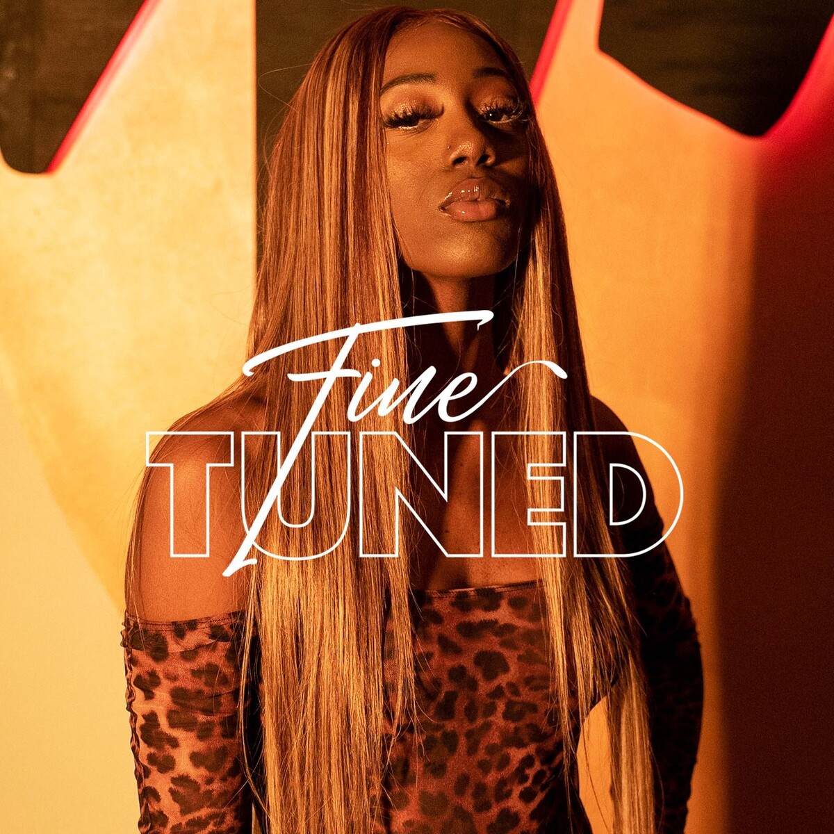 Beef FloMix / In the Party (Fine Tuned Version) by Flo Milli (Single ...