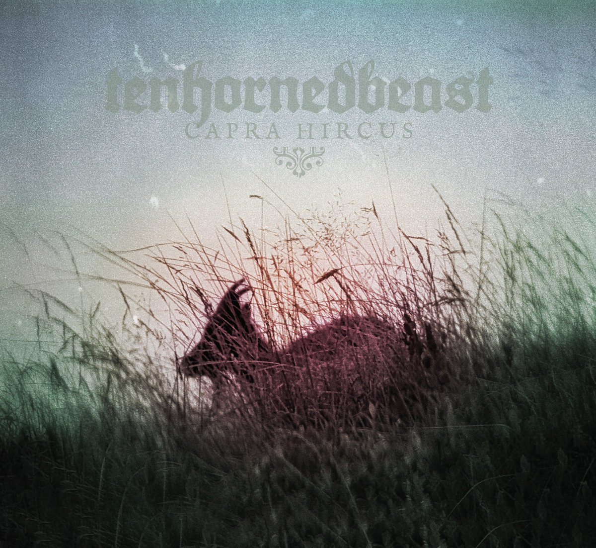 Capra Hircus by TenHornedBeast (Album, Dark Ambient): Reviews, Ratings ...
