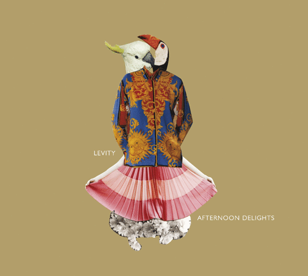 Afternoon Delights by Levity (Album): Reviews, Ratings, Credits, Song list - Rate Your Music