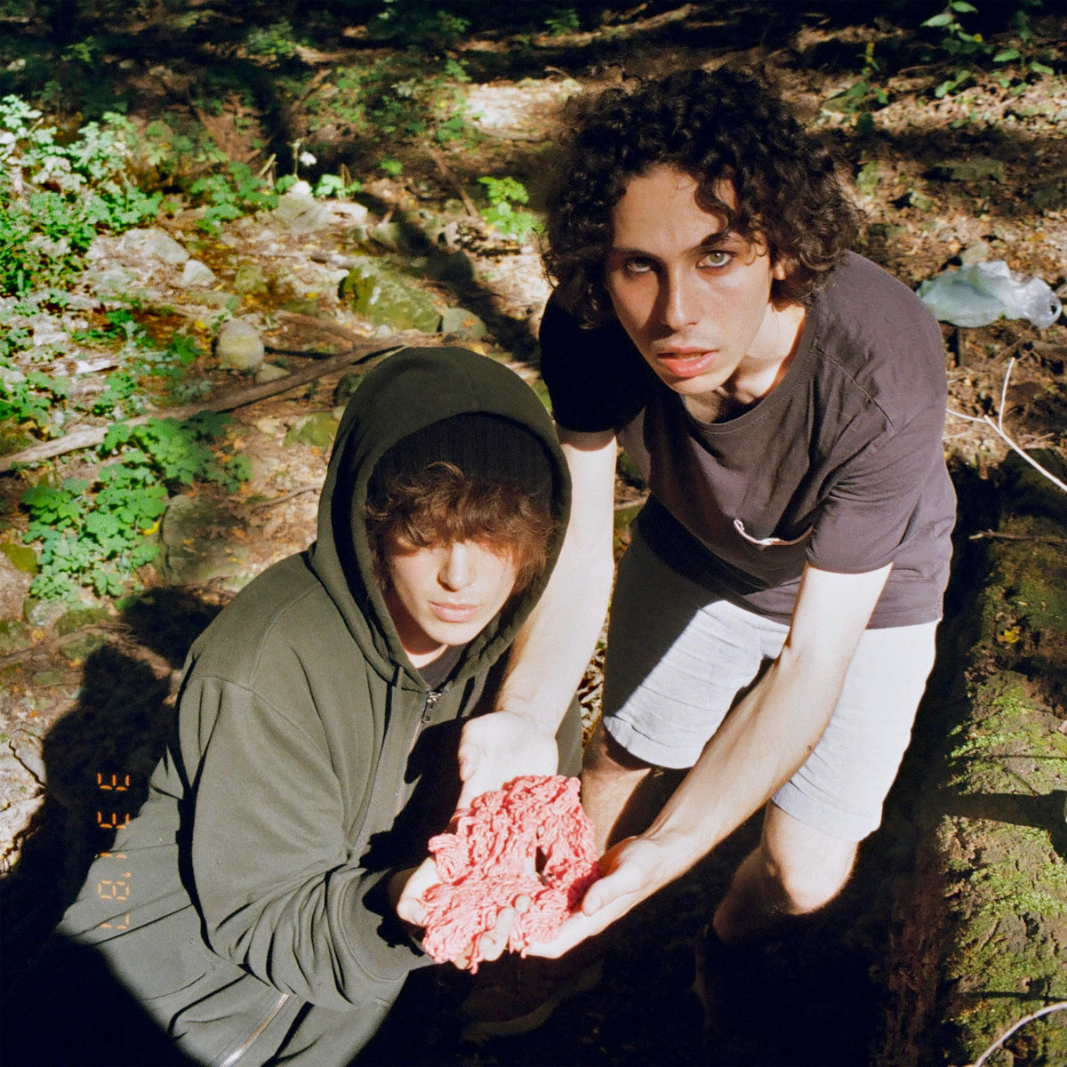 What Do You Think by Walk Me Home (Album, Post-Rock): Reviews, Ratings ...