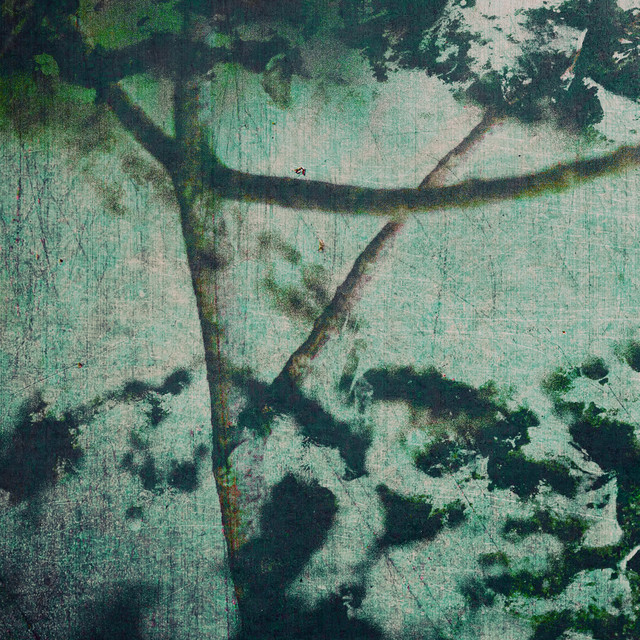 Vegetation Grows Thick by gyrofield (Single, Hardgroove Techno ...