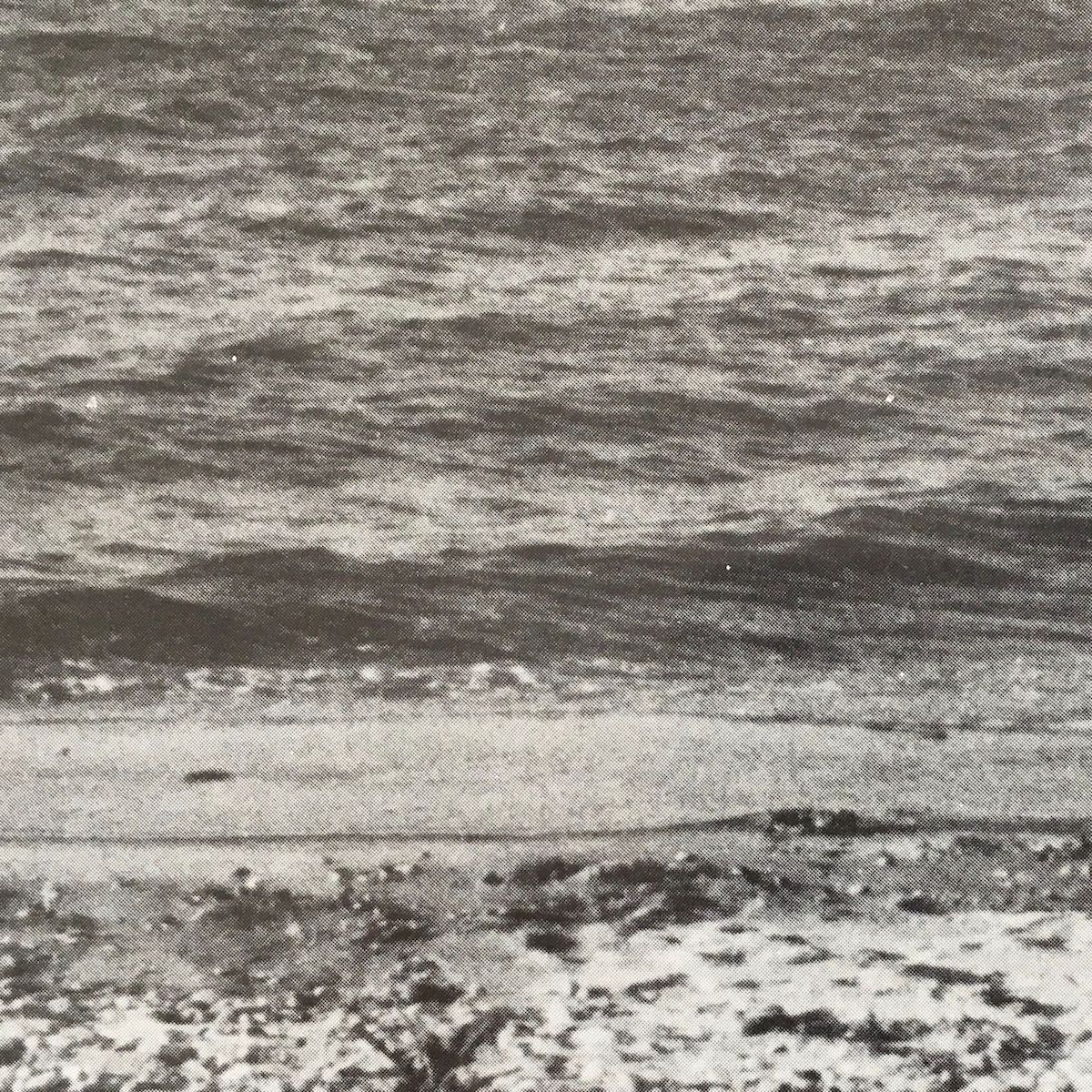 Ritmo Tempo Albums: songs, discography, biography, and listening guide ...