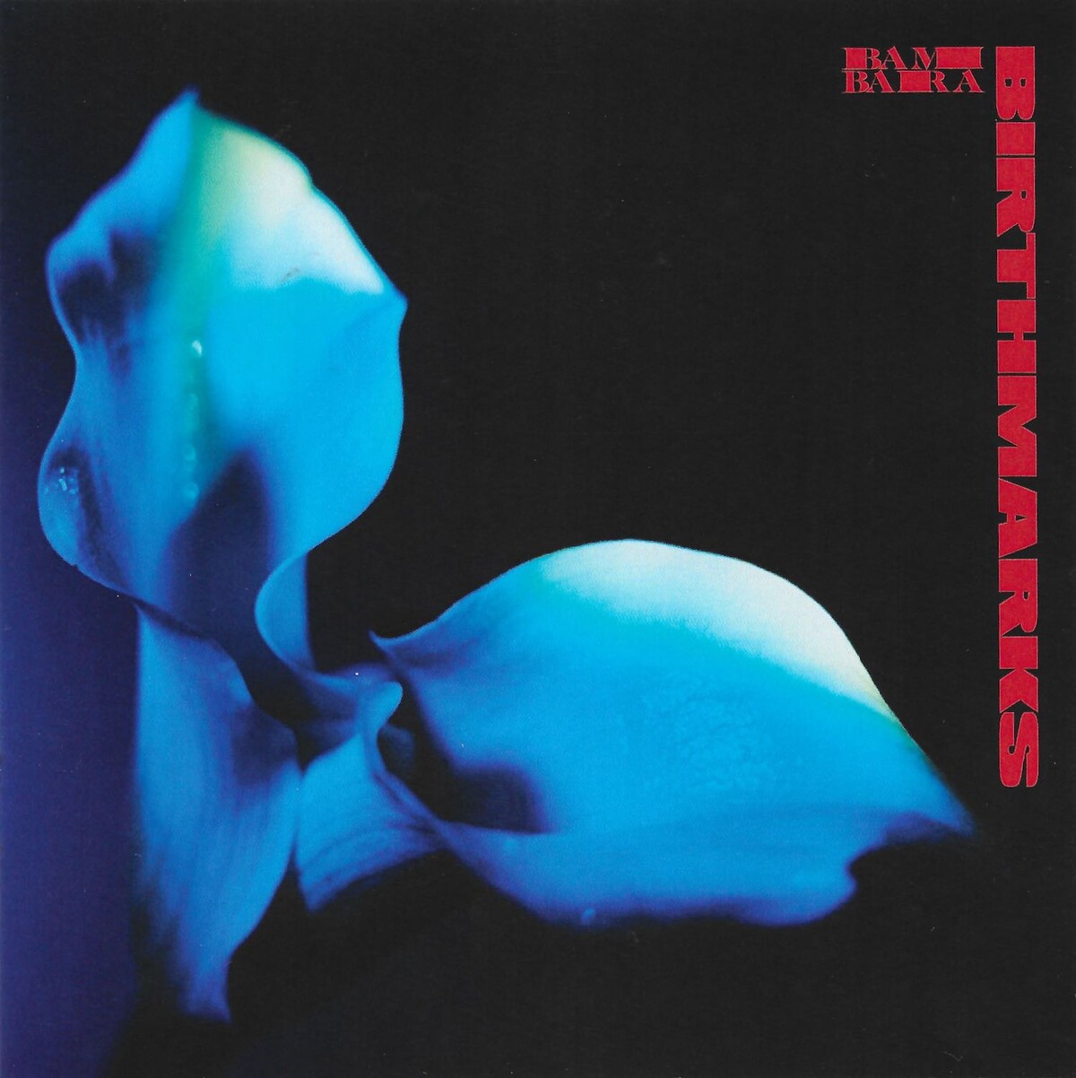 Birthmarks by Bambara (Album; Bella Union; BELLA1614CD): Reviews ...