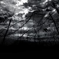 Overseas by Overseas (Album, Post-Rock): Reviews, Ratings, Credits ...