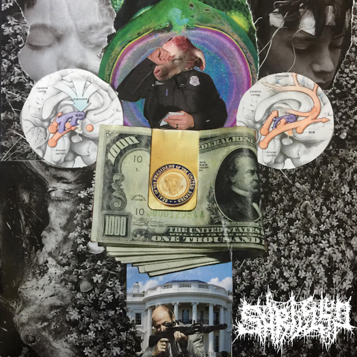 Shrivel Up Albums: songs, discography, biography, and listening guide ...