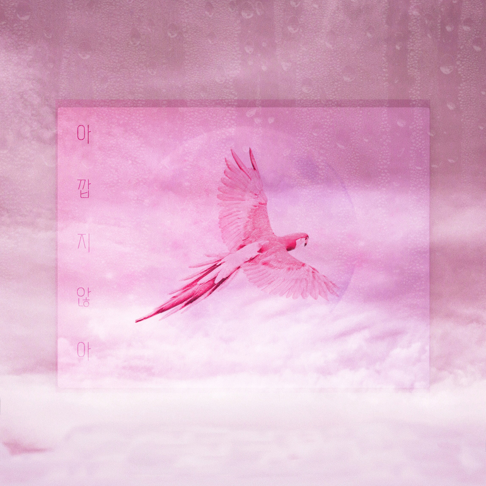 아깝지 않아 by 밤비 [Bambi] (Single): Reviews, Ratings, Credits, Song list ...