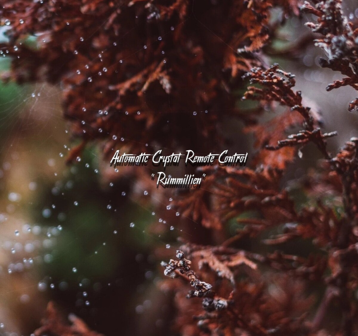 Automatic Crystal Remote Control Albums: songs, discography, biography ...