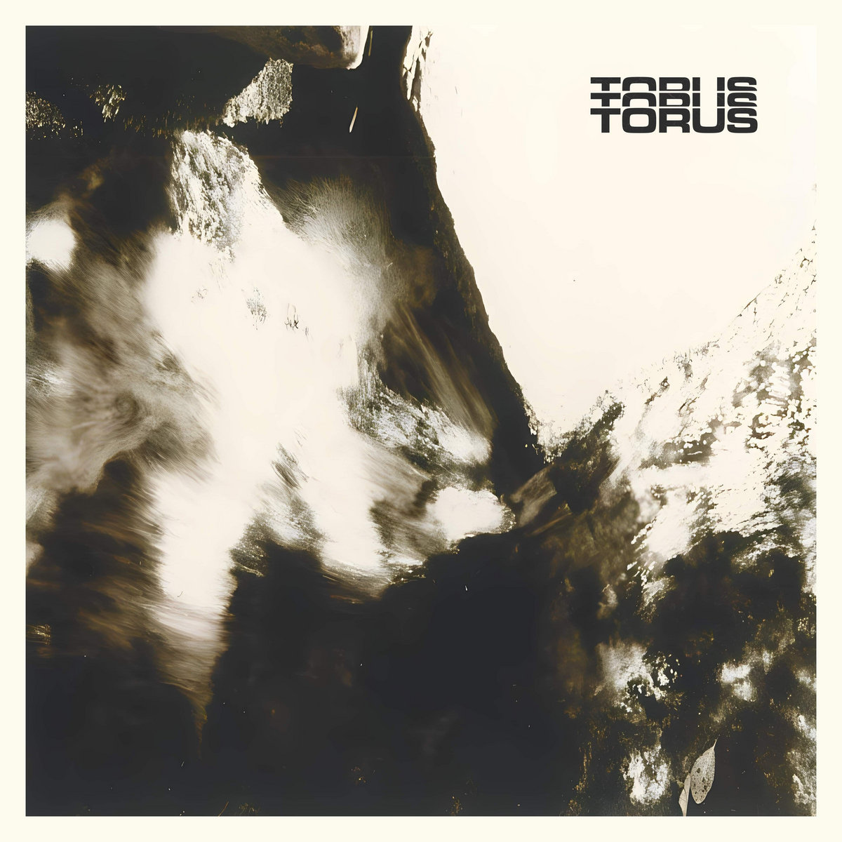 Torus by Torus (Album): Reviews, Ratings, Credits, Song list - Rate ...