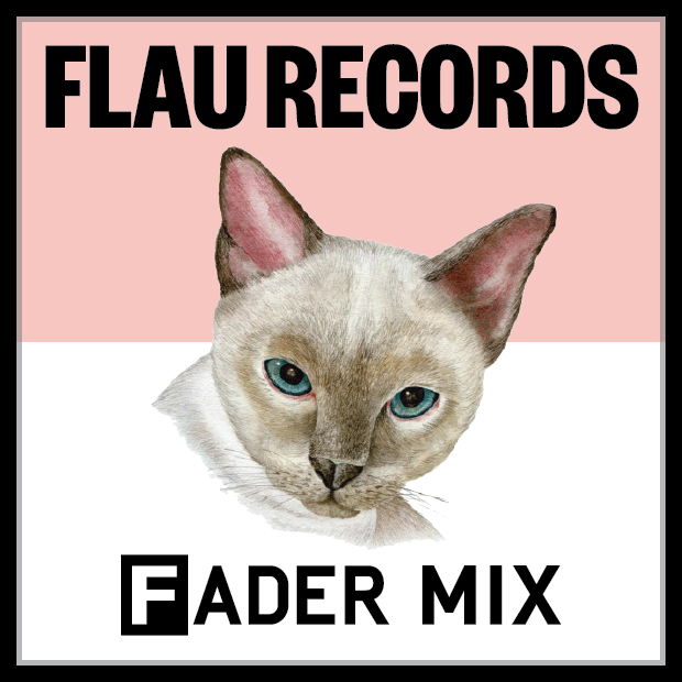 FADER Mix by Flau Records (DJ Mix): Reviews, Ratings, Credits, Song ...