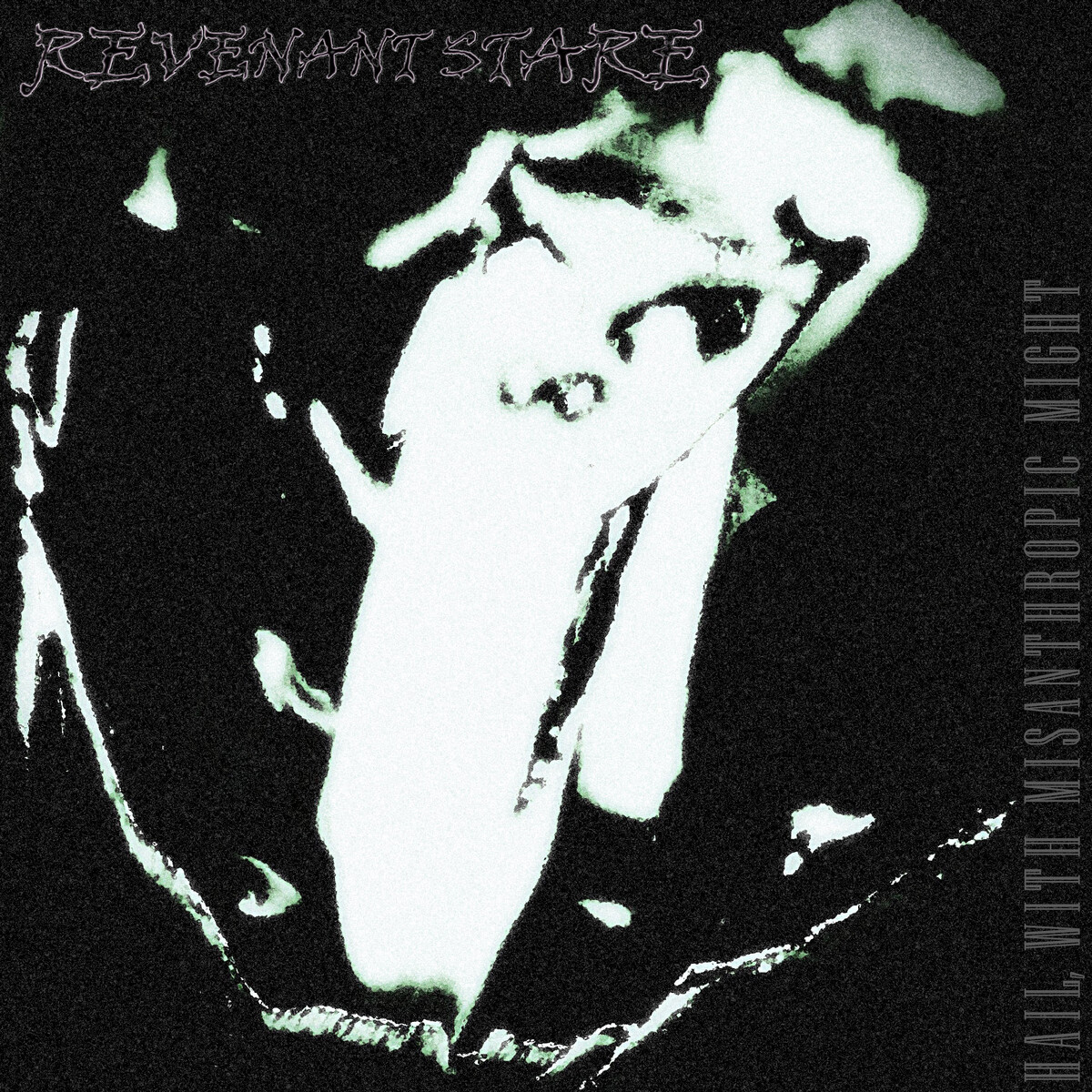 Revenant Stare Albums: songs, discography, biography, and listening ...