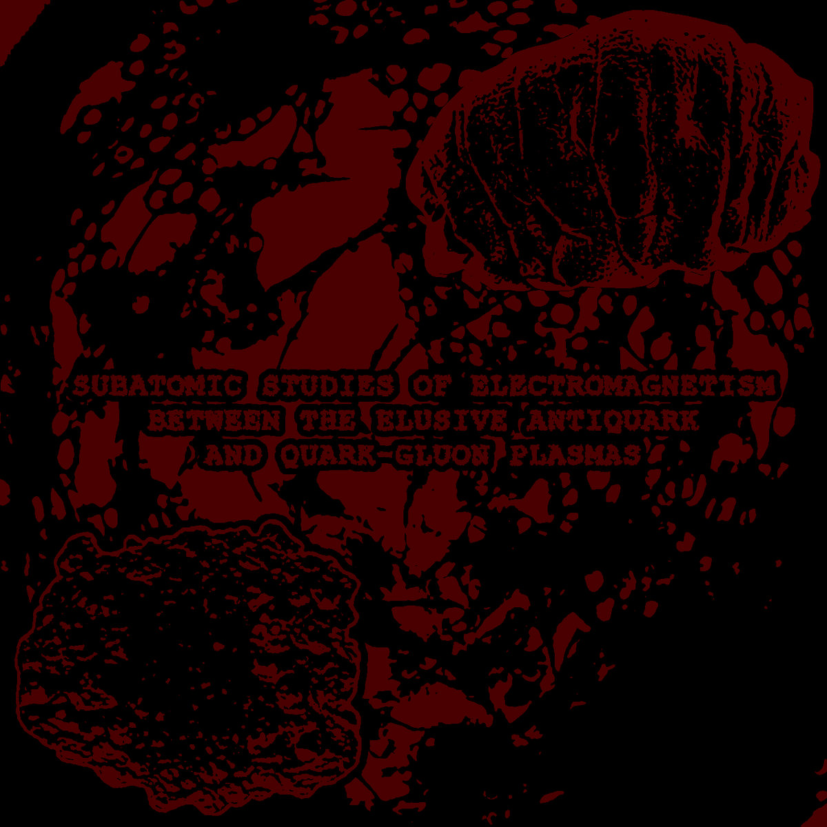 Subatomic Studies of Electromagnetism Between the Elusive Antiquark and ...